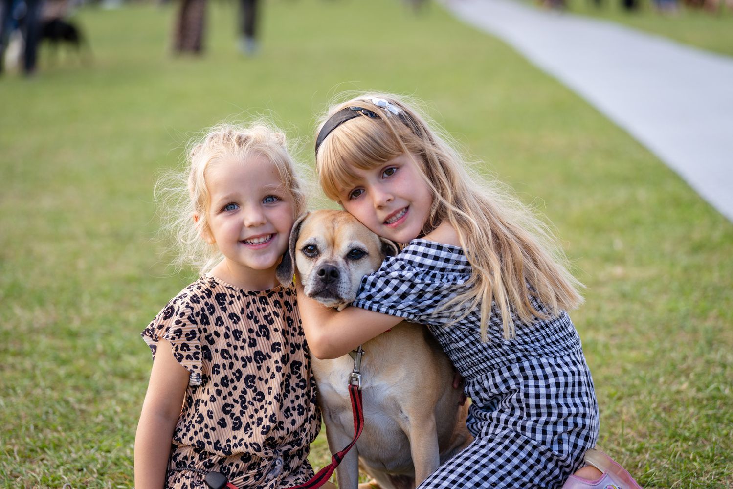 Mowgli’s dog show for Claire House returns | Claire House Children's ...